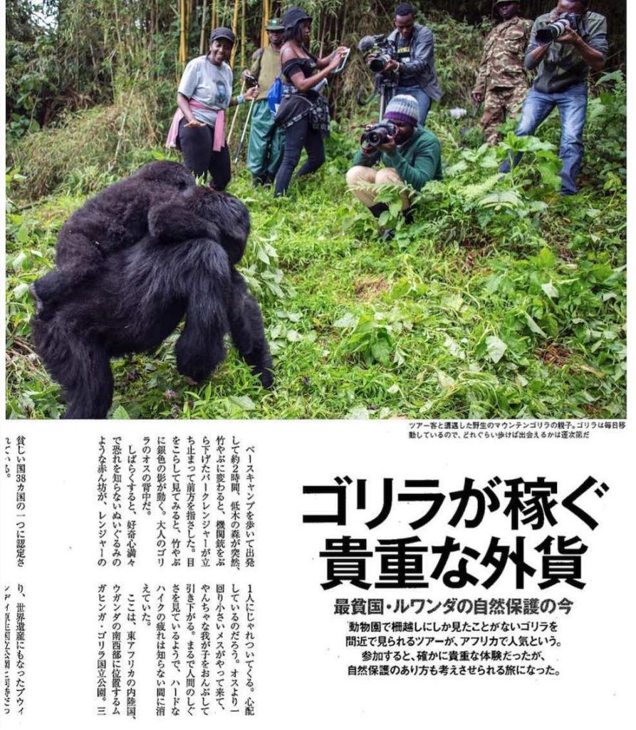 Gorilla Highlands in Japan - Gorilla Highlands Travels | Nature ...
