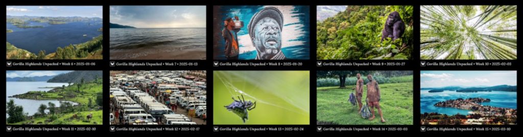 Let’s Evaluate Our Bluesky Experiment - Gorilla Highlands Experts