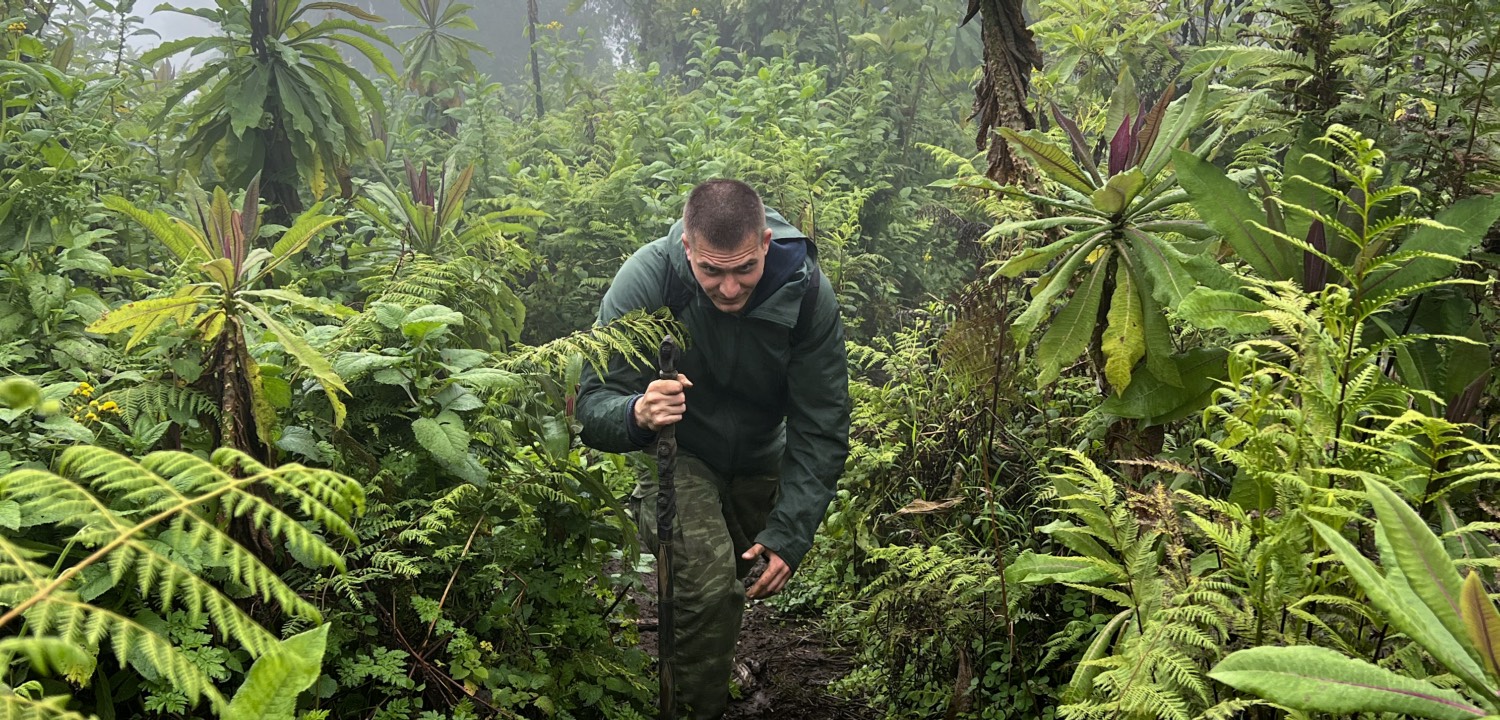 Primates in the Mist: Climbing Mount Bisoke in the Rainy Season ...
