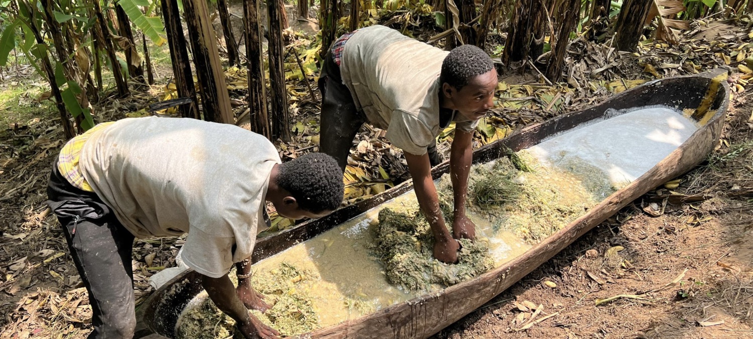 Discover Banana Beer Culture on the Congo Nile Trail – Gorilla ...